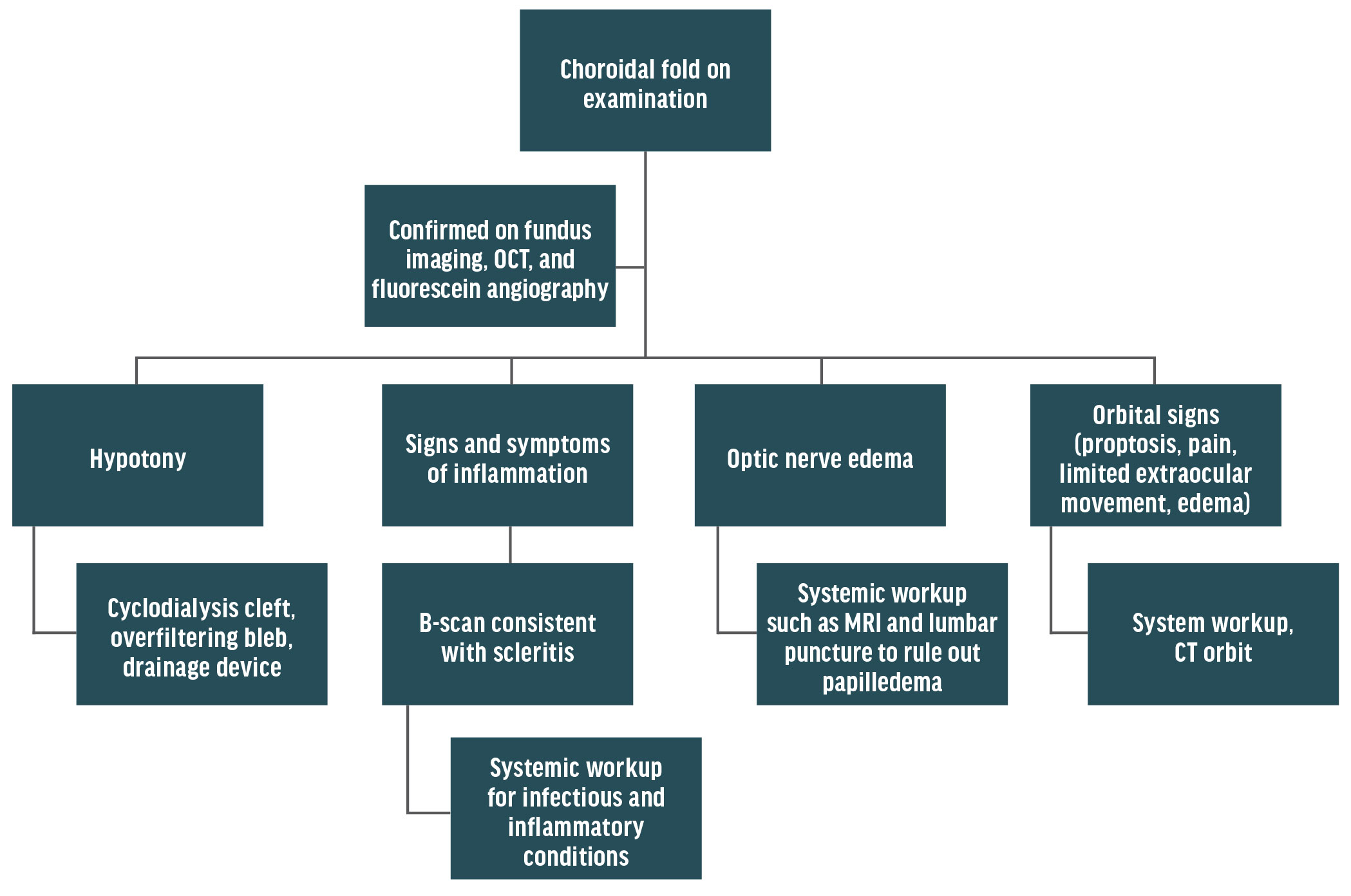Workup and Management of Choroidal Folds - Retina Today
