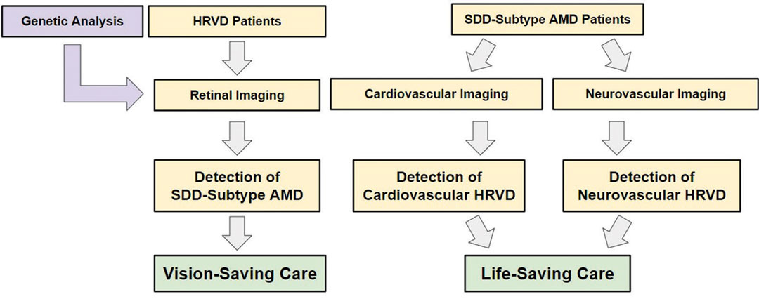 The Eye: A Window to the Heart - Retina Today