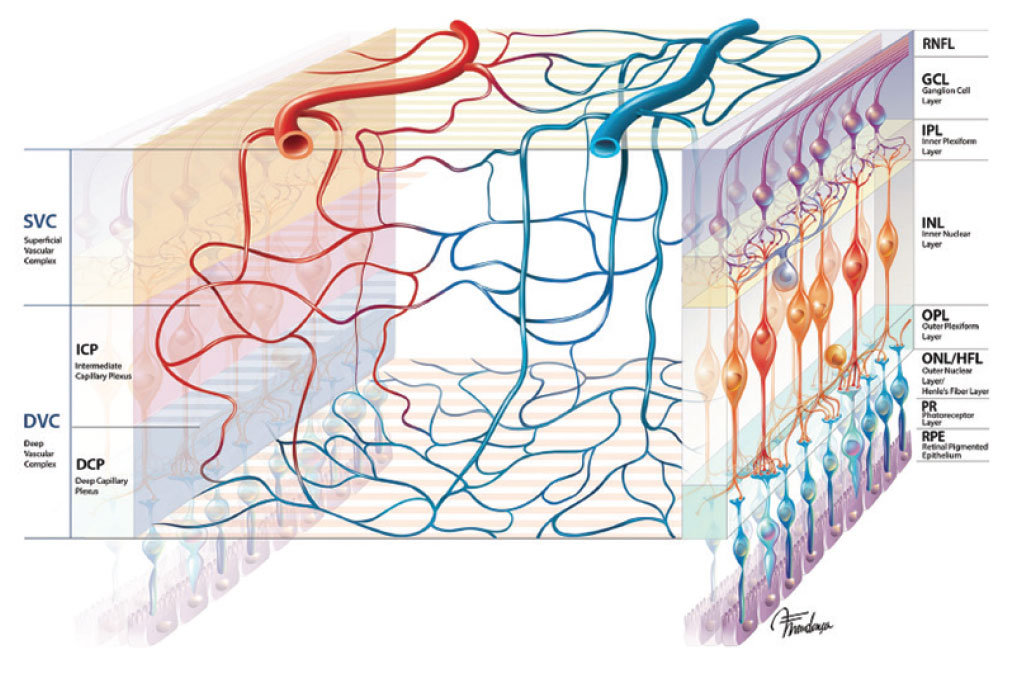Coincident PAMM And AMN: Finding the Missing Link - Retina Today