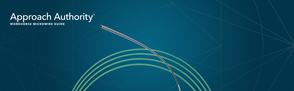 Cook Medical Introduces Approach Authority Workhorse Wire Guide ...