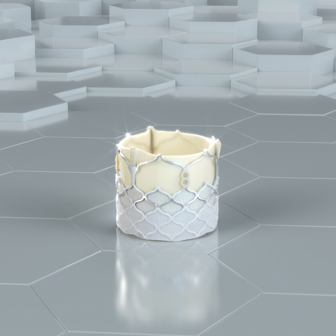 Anteris Announces Results From Second ViV Procedure With DurAVR THV ...