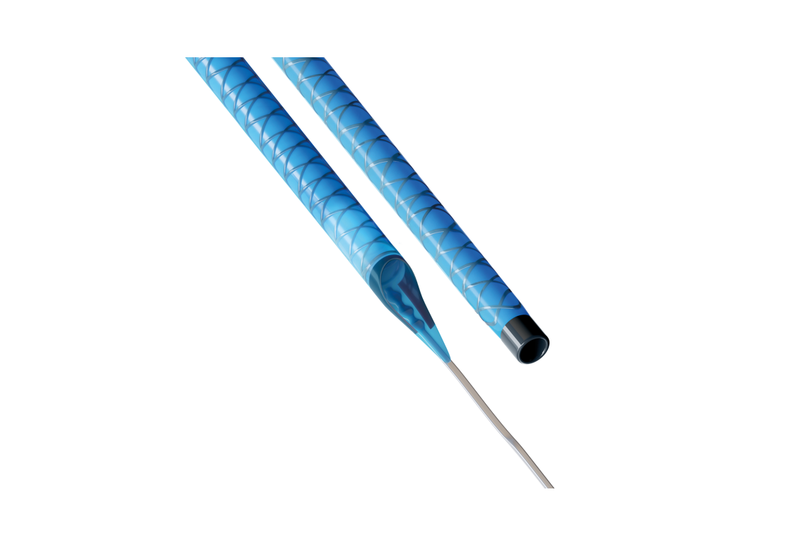 Biotronik Launches Guide Extension Catheters in Europe - Cardiac ...