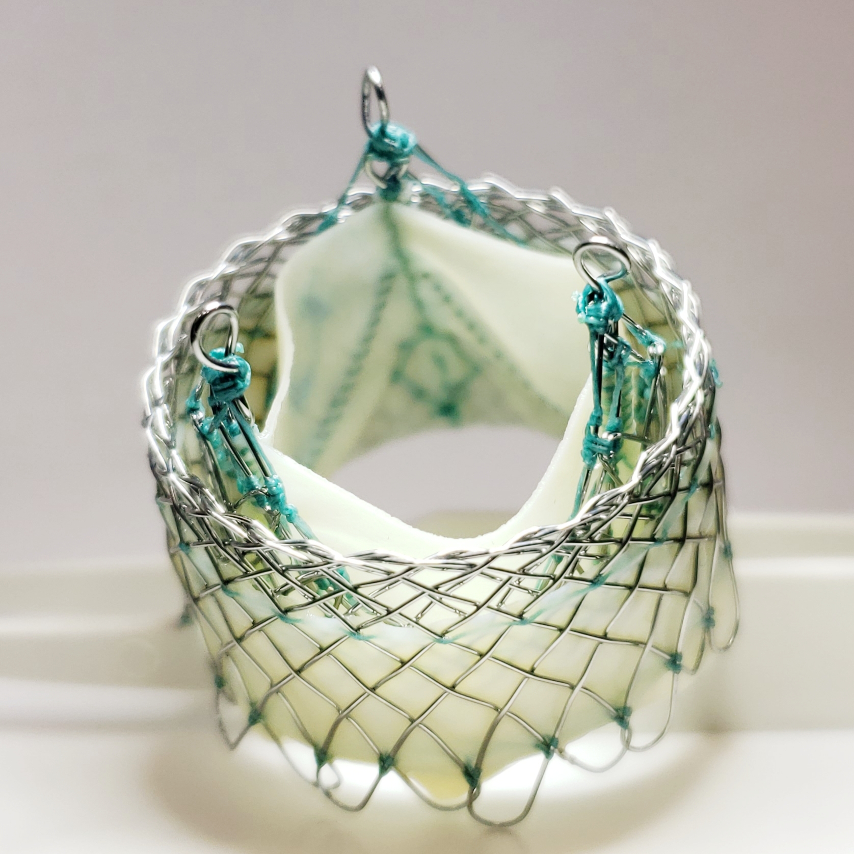 HLT’s Meridian TAVR Device Will Be Evaluated in Two FDA-Approved ...