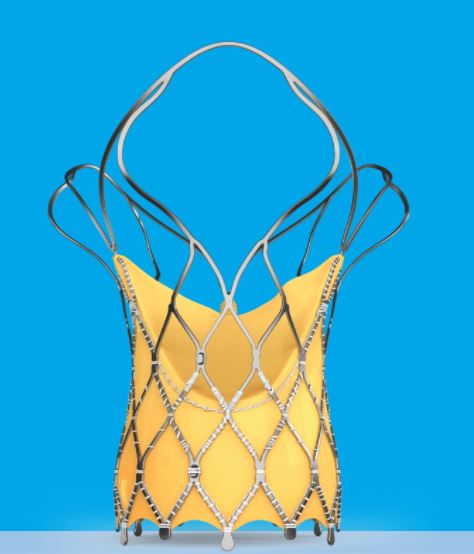 SMT’s Hydra THV Evaluated in 30-Day Safety and Efficacy Data From ...