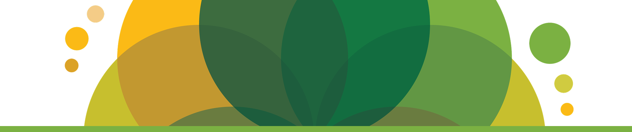 IJC Recap: Canaloplasty, Light-Adjustable Lenses, and Dropless Cataract ...