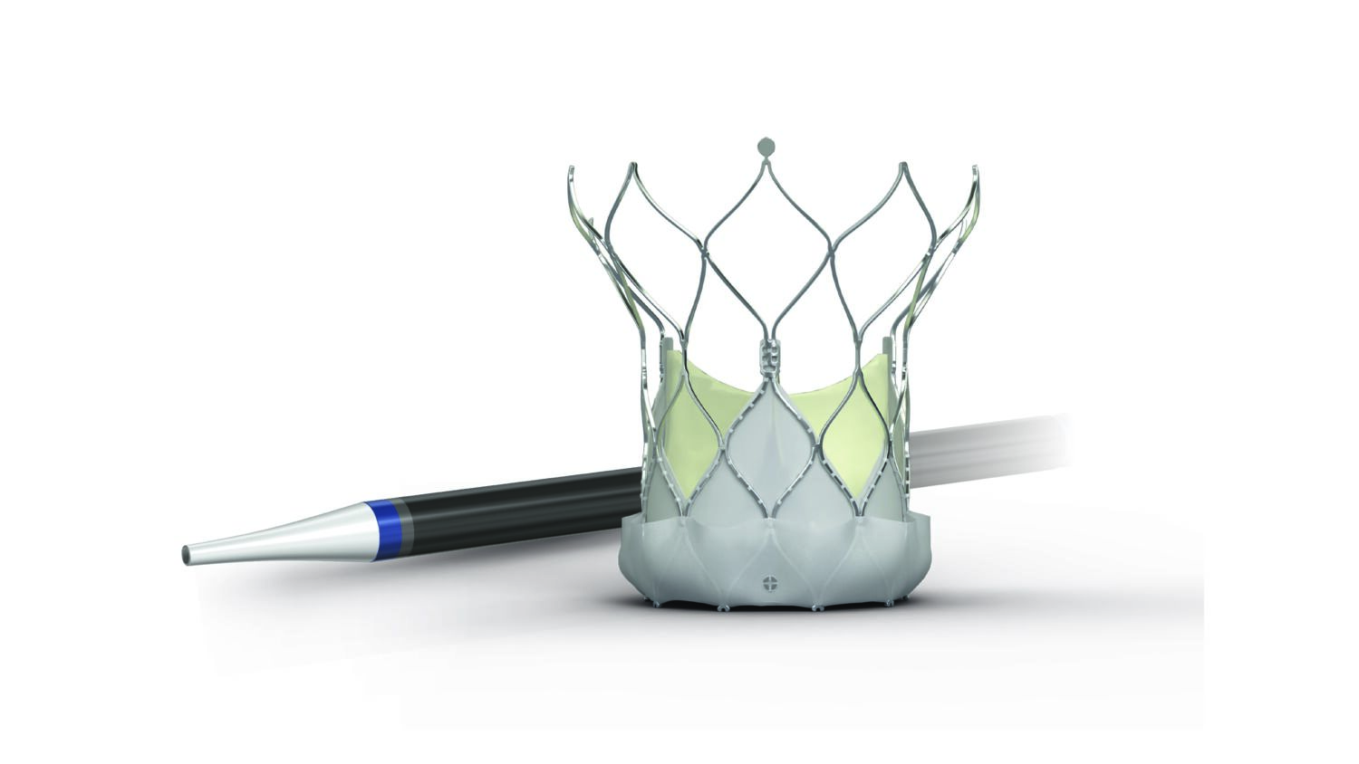Abbott’s Navitor Vision TAVI/TAVR Device Introduced in United Kingdom ...