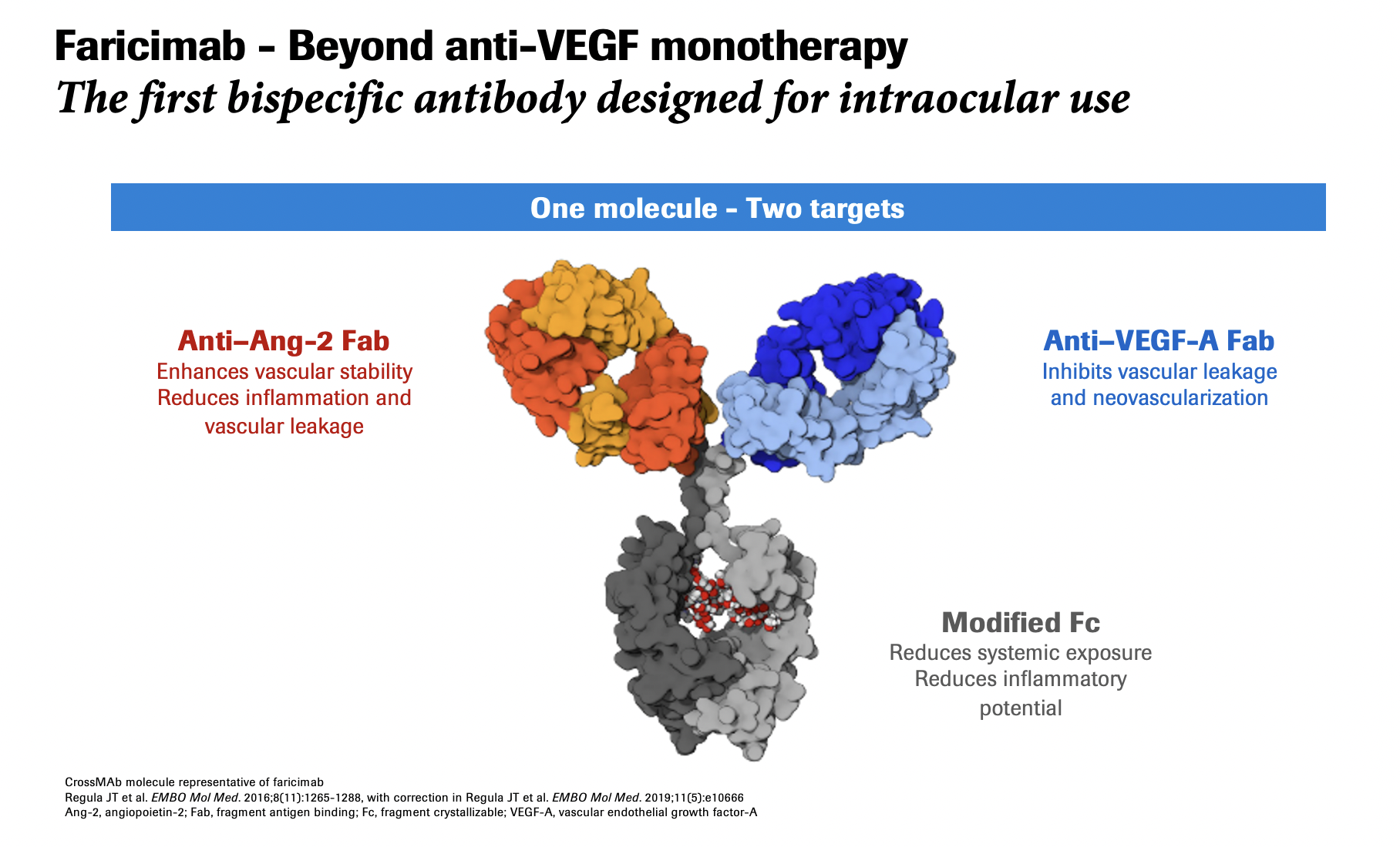 Studies Show Faricimab Improved and Maintained Vision in Wet AMD and ...