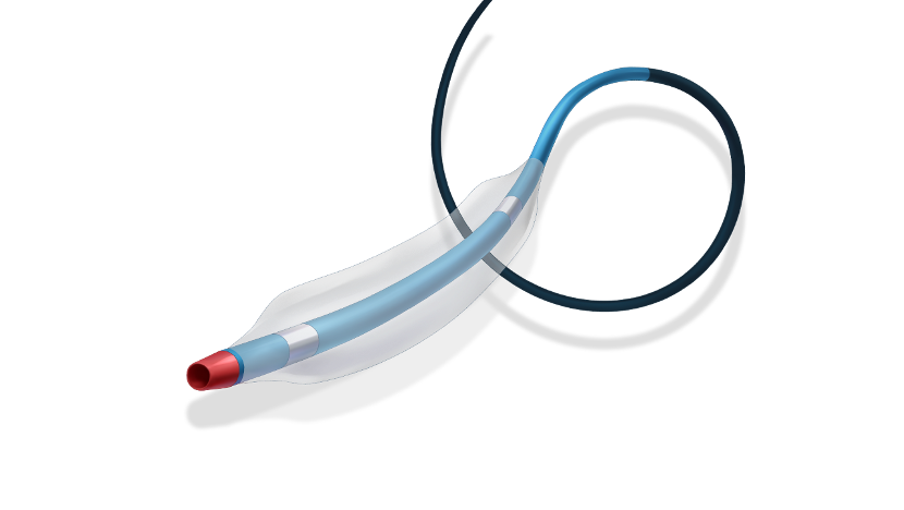 Demax Gusta Balloons Awarded European CE Certification Under MDR ...