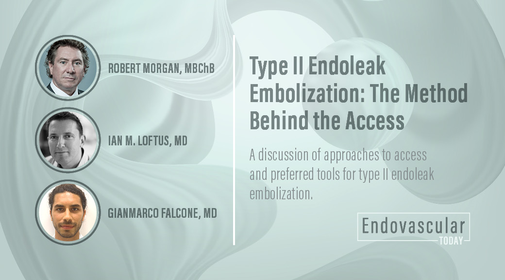 Type II Endoleak Embolization: The Methods Behind the Access ...