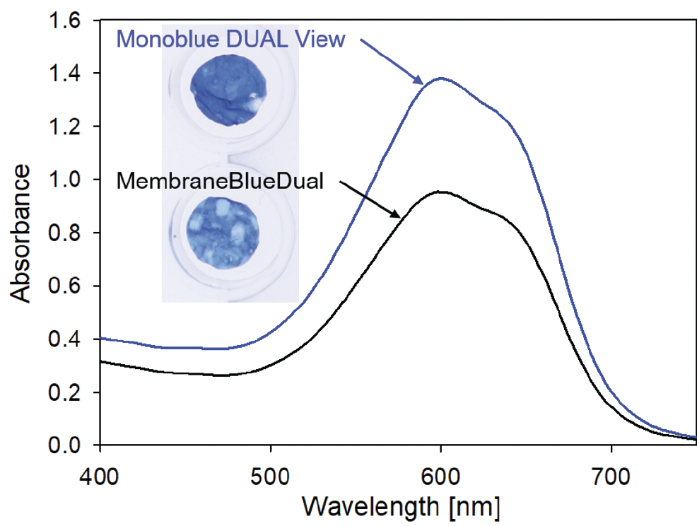 BVI Monoblue DUAL View and ILM View: Novel Appealing Staining Solutions ...