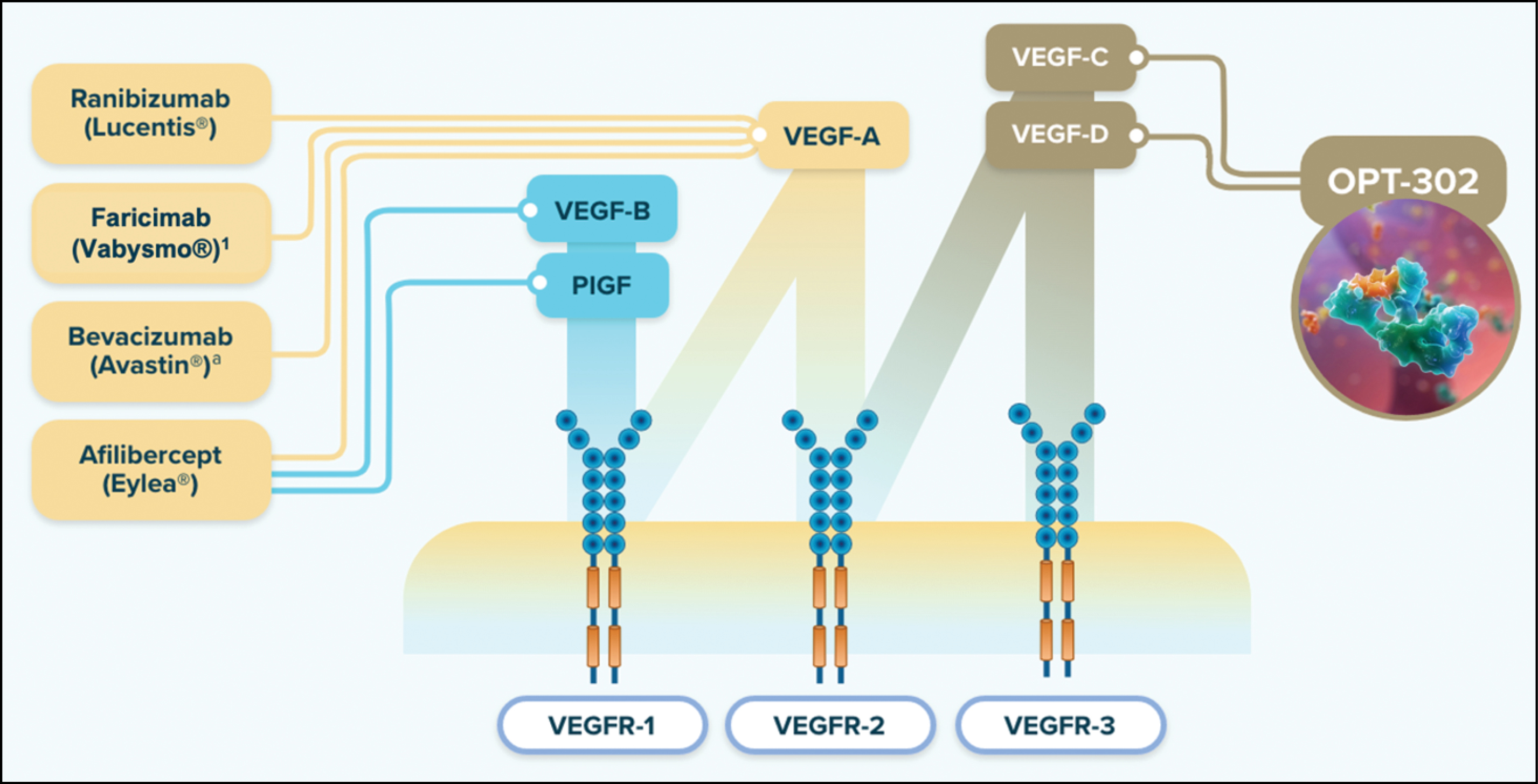 Elevating the Standard of Care in Wet AMD - Retina Today
