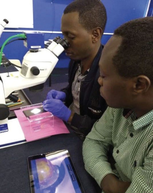 Medical Training and Ophthalmology Residency and Fellowship Programs ...