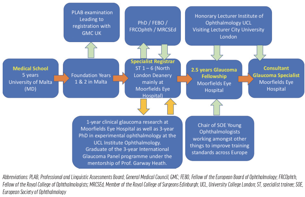 Medical Training and Ophthalmology Residency and Fellowship Programs ...