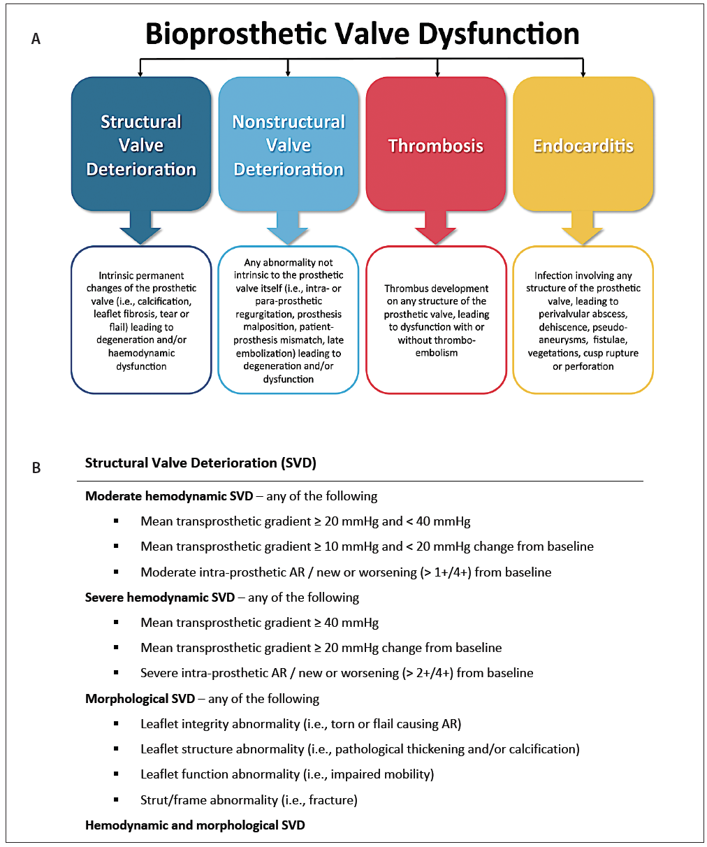 TAVR and SAVR Durability: When Will We Have the Answer? - Cardiac ...