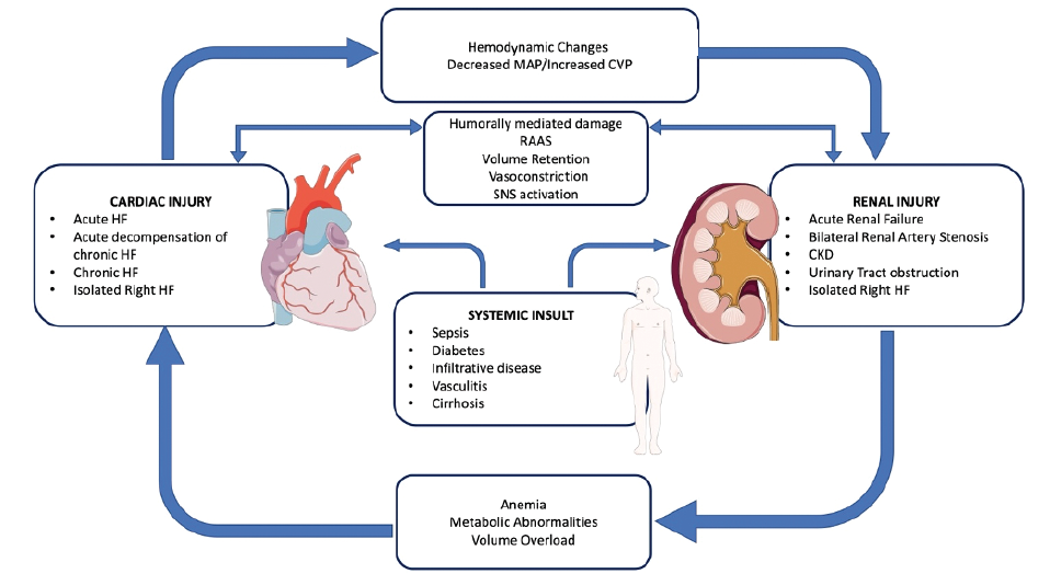 Device-Based Therapy of Acute Cardiorenal Syndrome in Heart Failure ...