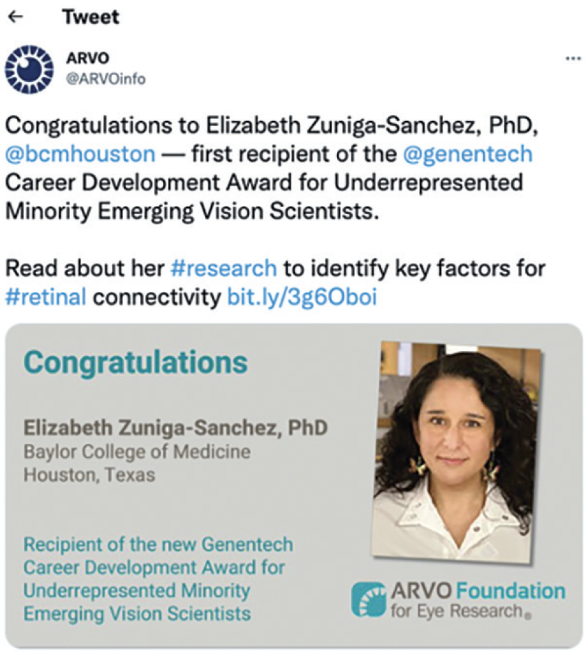 Diversity and Inclusion Efforts in Retina - Retina Today