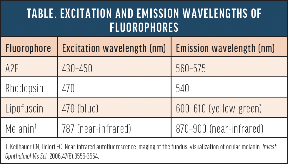 Fundus Autofluorescence For IRDs - Retina Today