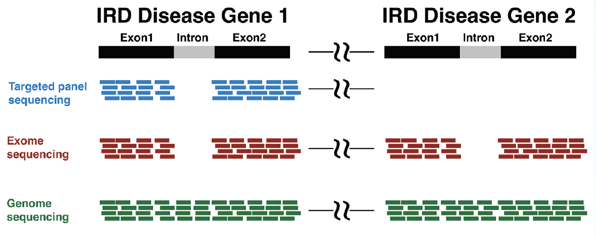 Order Genetic Testing Like a Pro - Retina Today