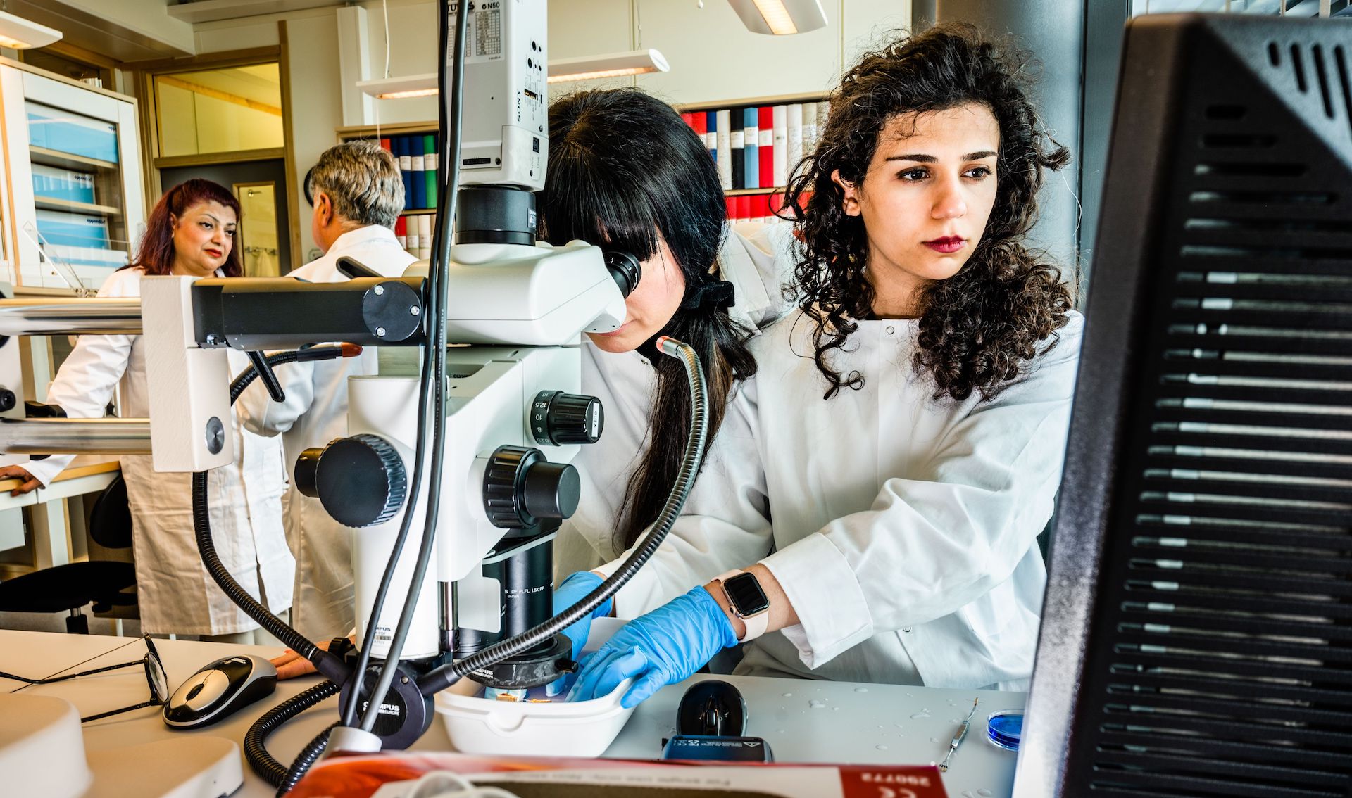 Bioengineered Implant Could Expand Access to Treatment - Eyewire+